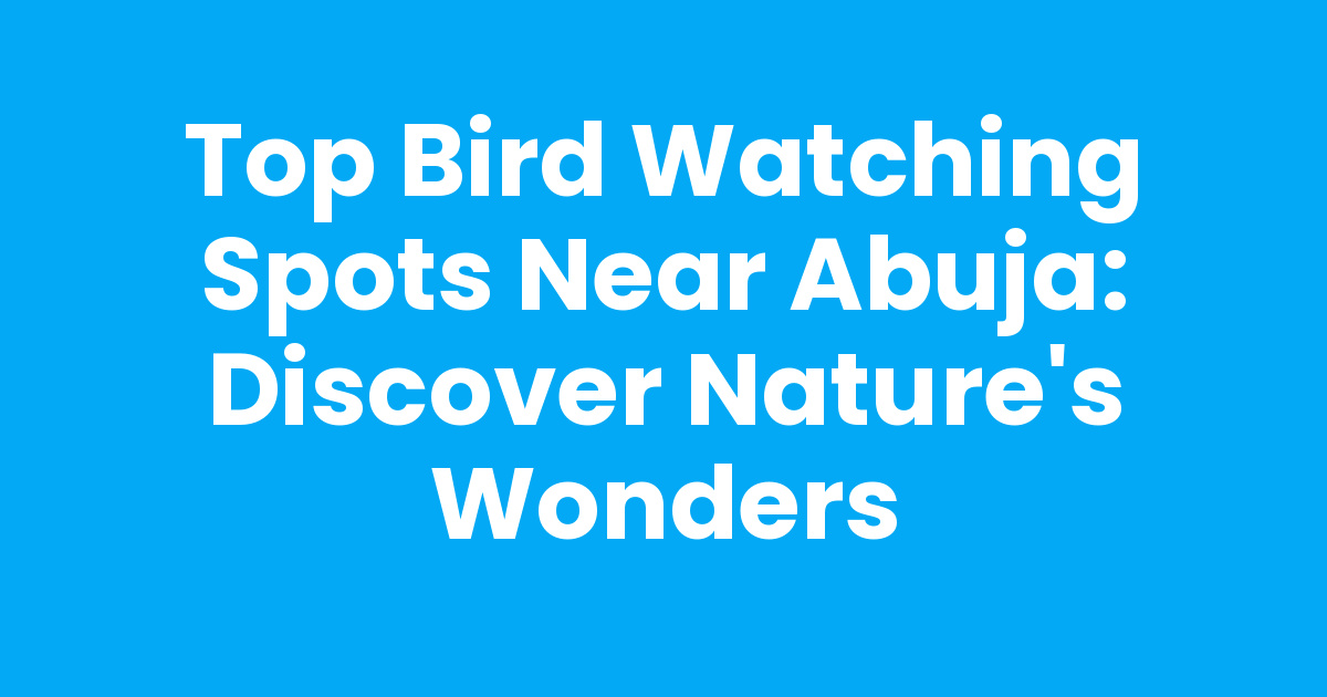 Top Bird Watching Spots Near Abuja: Discover Nature's Wonders