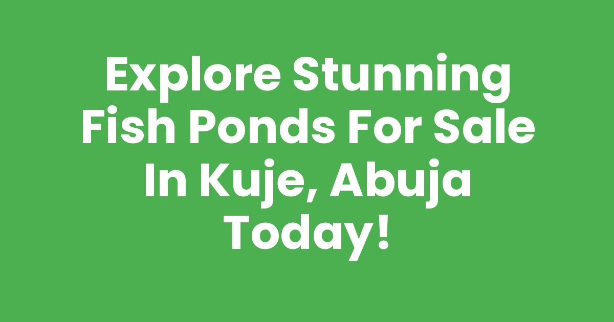 Explore Stunning Fish Ponds For Sale In Kuje, Abuja Today!