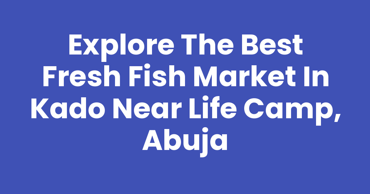 Explore the Best Fresh Fish Market In Kado Near Life Camp, Abuja