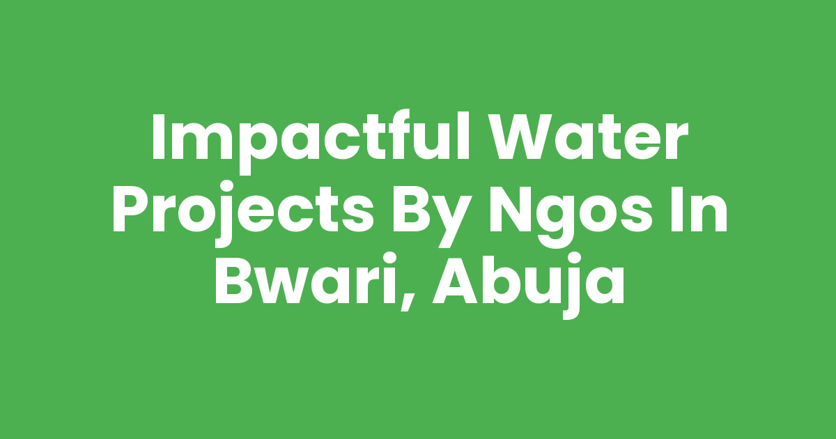Impactful Water Projects By NGOs In Bwari, Abuja